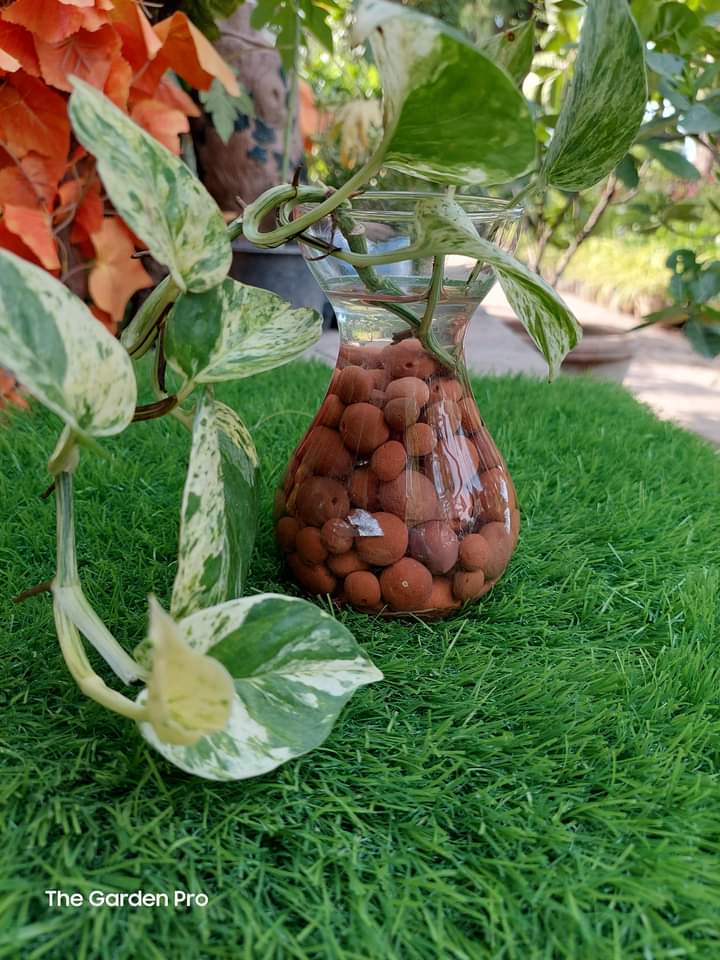 Clay Pebbles , Clay Balls (10 MM size), lica Balls, Hydroponic clay ...