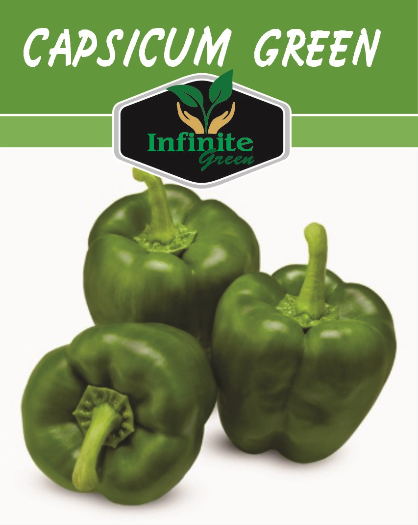 Green Capsicum Vegetable Seeds – Infinite Green