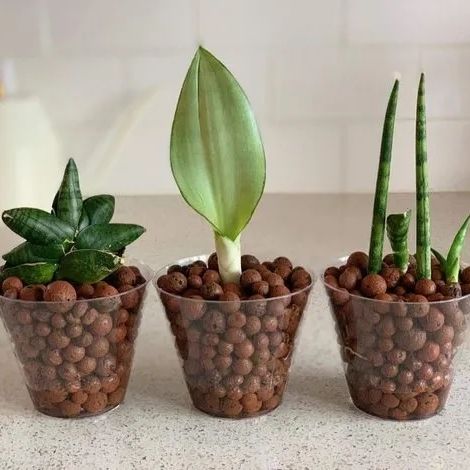 Clay Pebbles , Clay Balls (10 MM size), lica Balls, Hydroponic clay ...