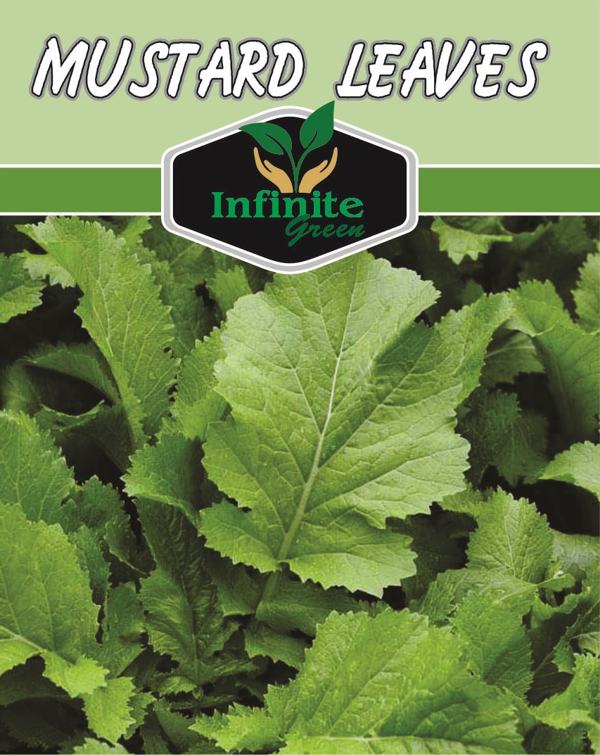 MUSTARD SEEDS (SARSON KA SAAG SEEDS) 800 PLUS SEEDS – Infinite Green